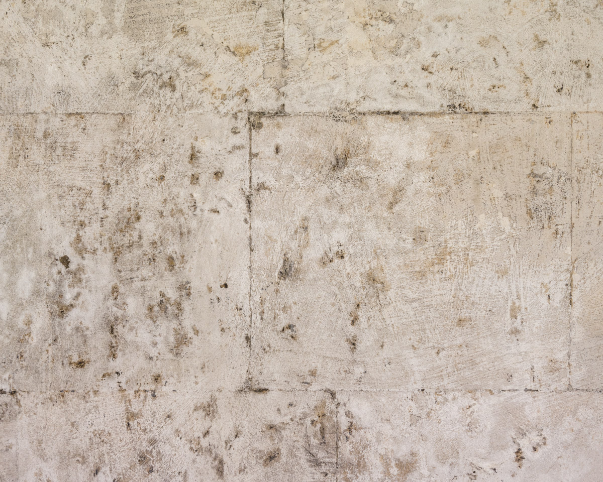 Norwich Cathedral Cloister Walls – Sean Wilkinson Photography